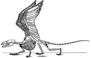 The Huge Entity: Anticipation of The Forthcoming Metamorphosis: A ...